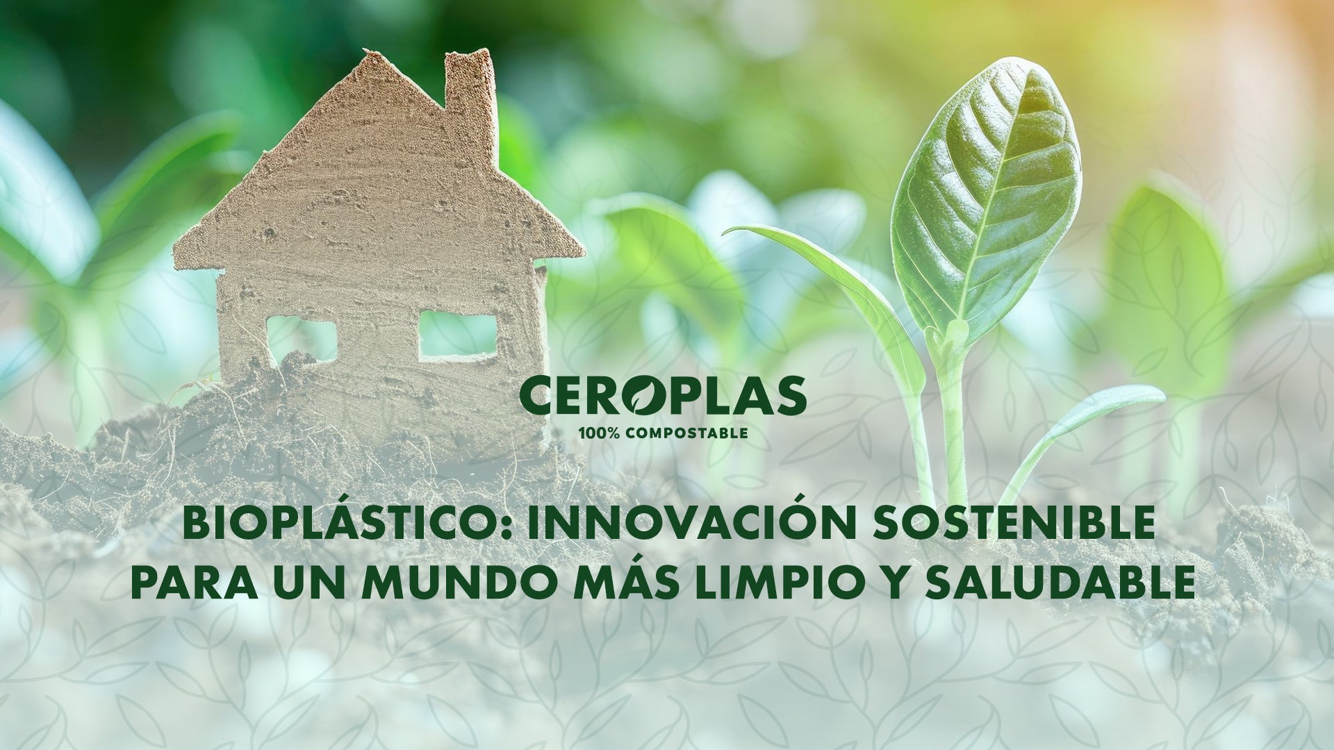 Bioplástico: una alternativa sostenible para un futuro ecoamigable - Ceroplas
